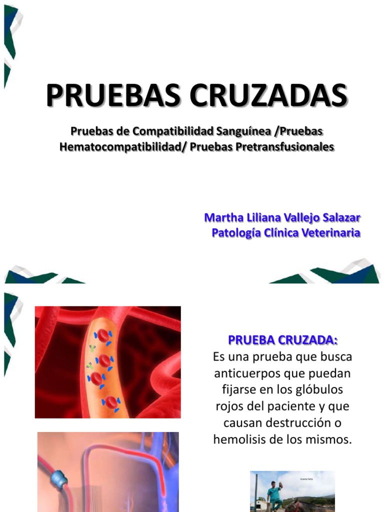 Pruebas Cruzadas 2020 PDF | PDF | Sangre | Patologia clinica