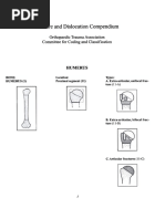 AO/OTA Fracture Classification Guide | PDF | Injury | Skeletal System