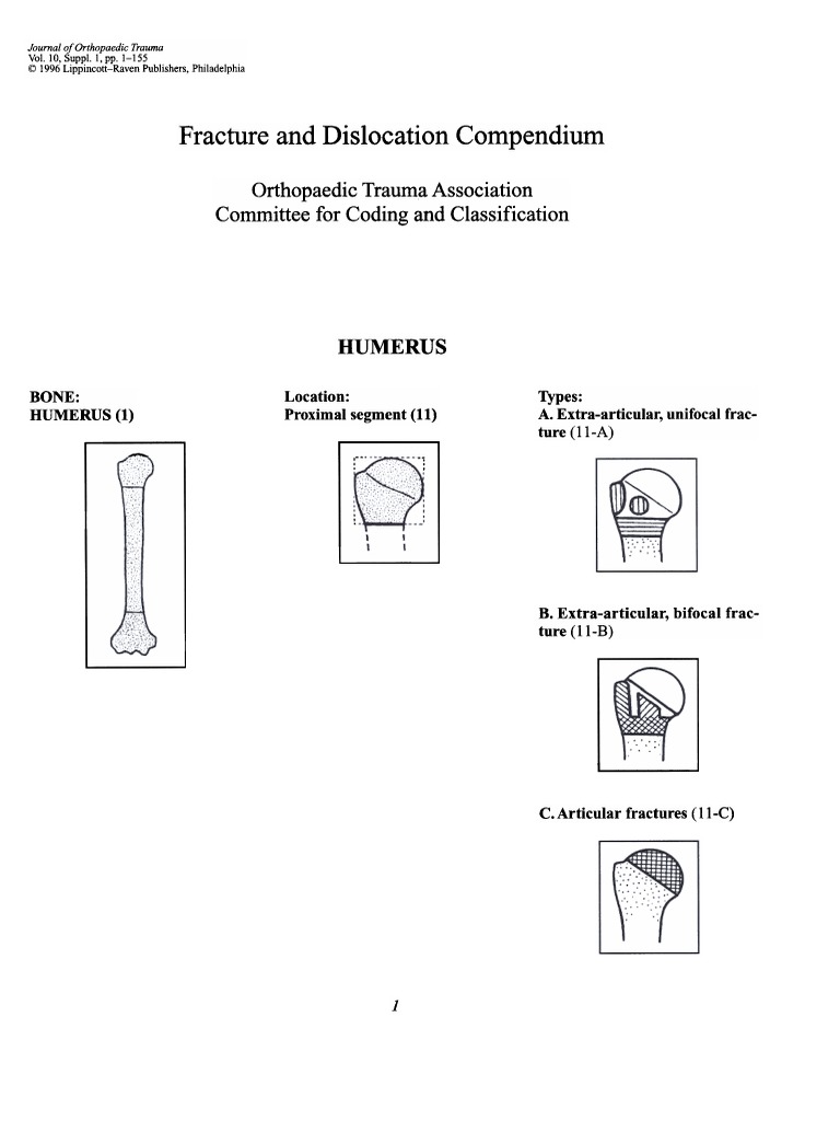 Humerus Fracture Classification Guide | PDF | Human Anatomy | Limbs ...