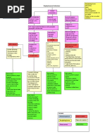 Cellulitis Pathophysiology | PDF | Inflammation | Medical Specialties