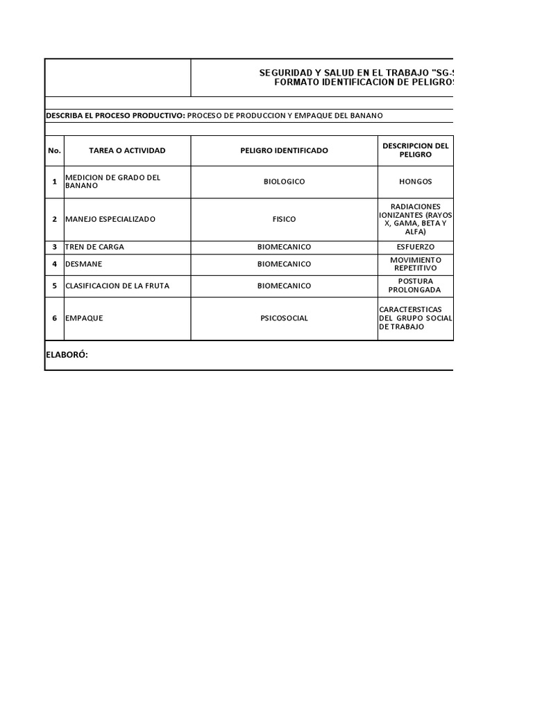 Formato Identificacion de Peligros Naro | PDF