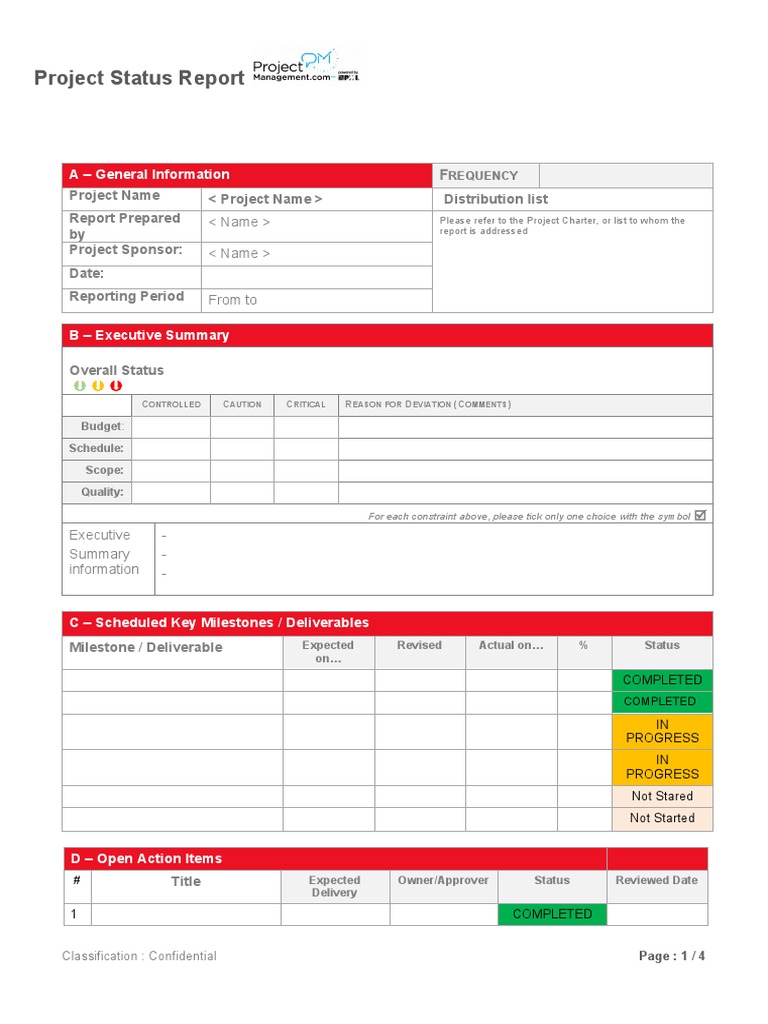 Project Status Report: A - General Information | Download Free PDF ...