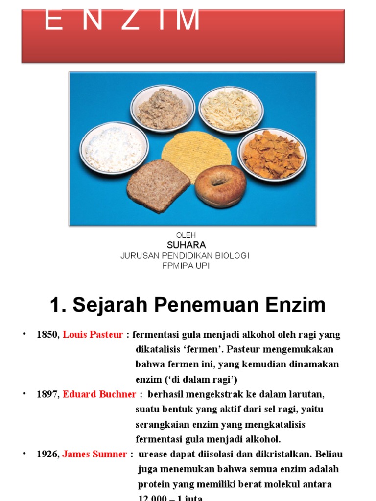 Enzim | PDF