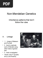 Pigeonetics Game Teacher Guide | PDF | Dominance (Genetics) | Allele