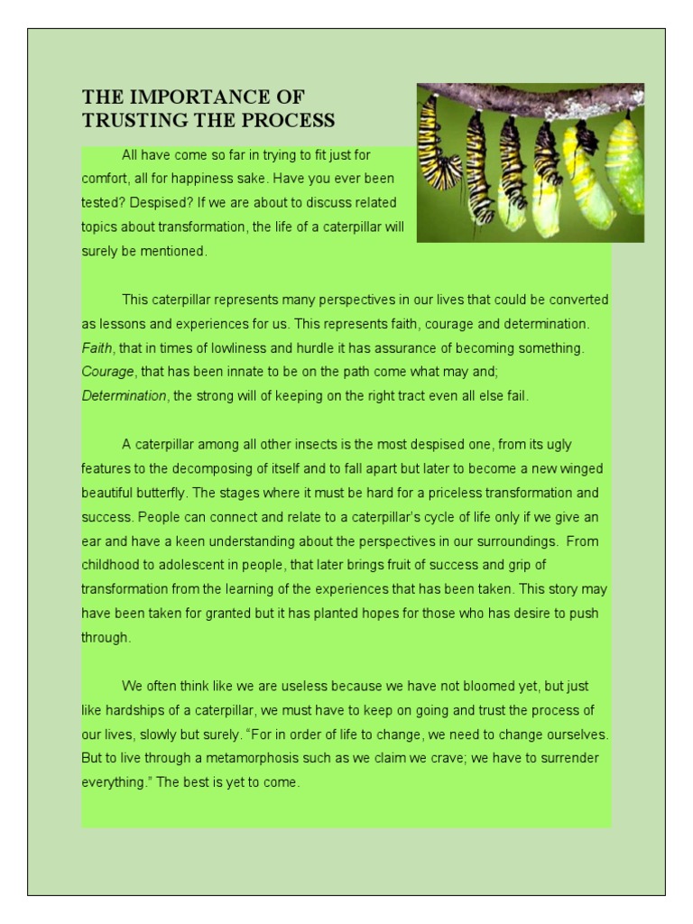 The Importance of Trusting The Process | PDF