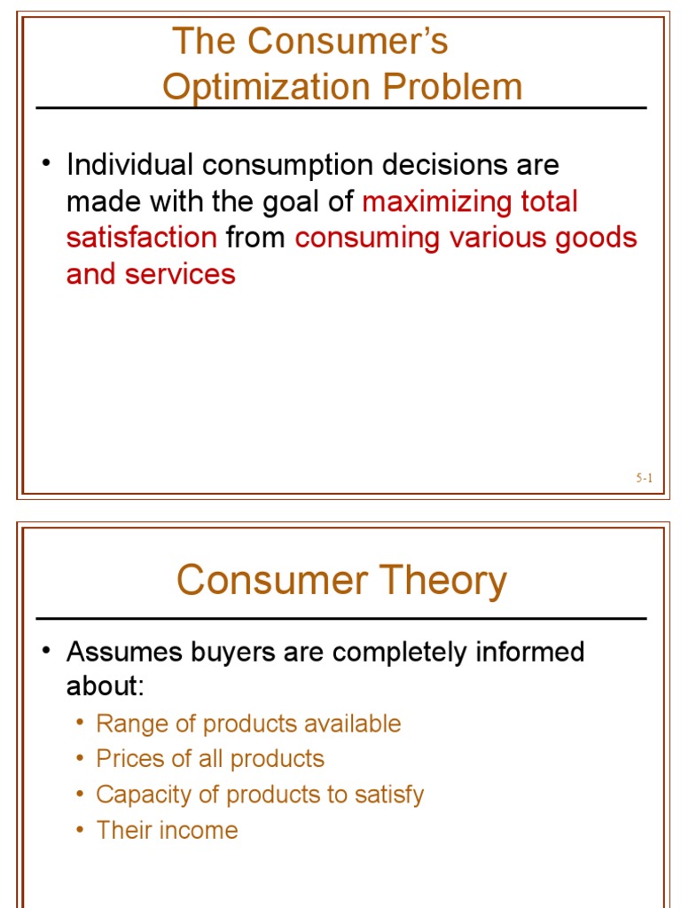 Understanding Consumer Optimization Theory | PDF | Demand | Utility