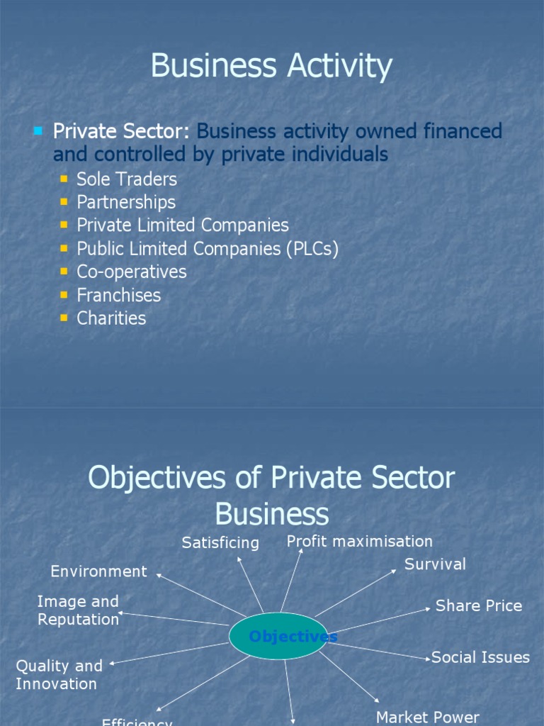 Objectives of Private Sector Business and Task | PDF