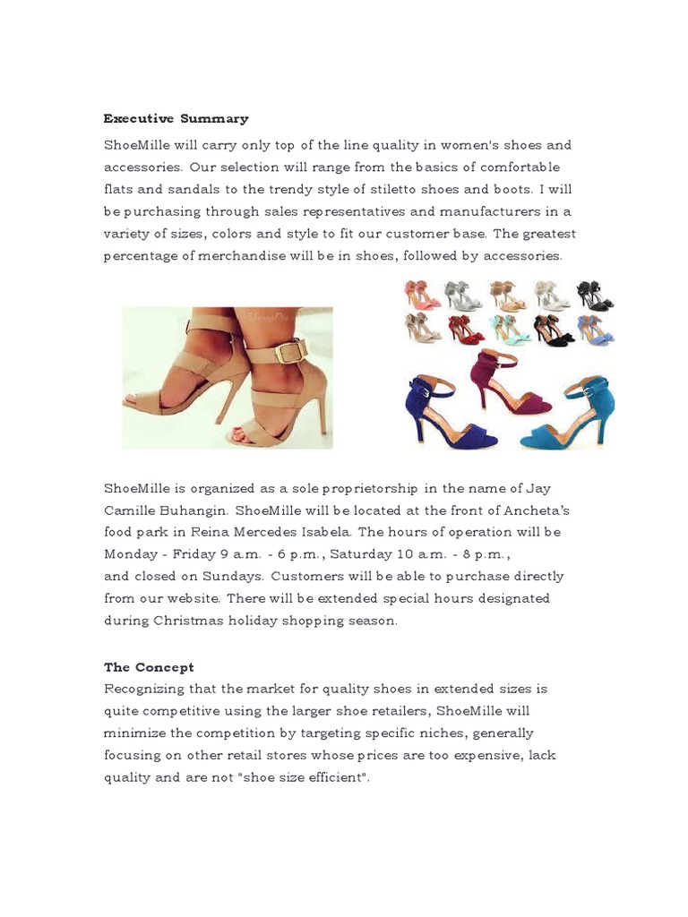 Executive Summary: The Concept | PDF | Retail | Marketing