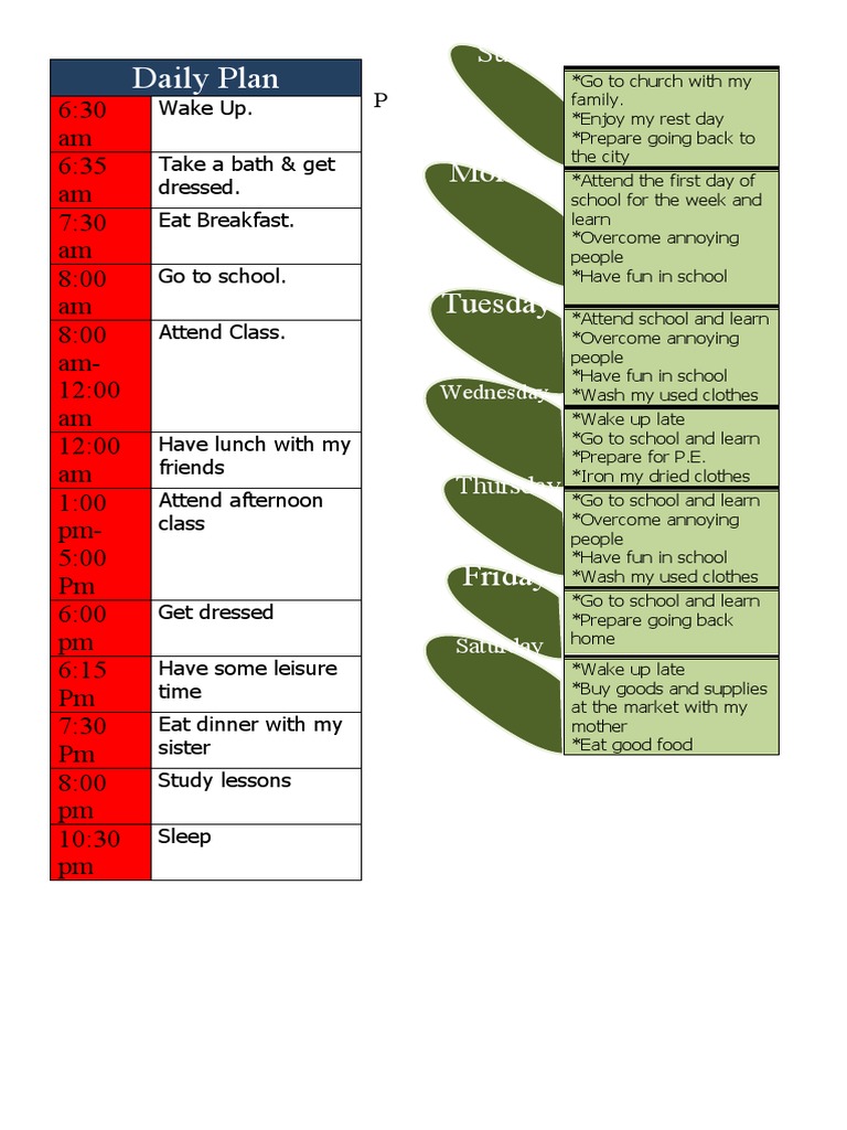 Daily Plan | PDF