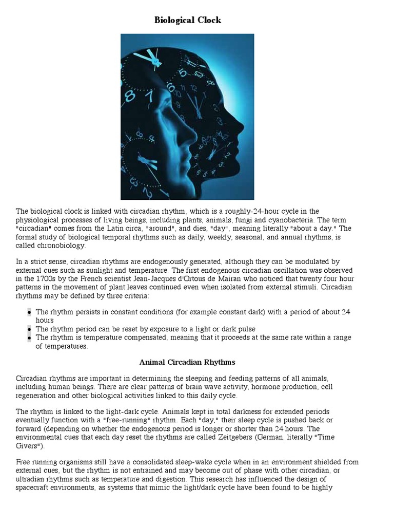 Biological Clock - Crystalinks | PDF | Circadian Rhythm | Animal Physiology