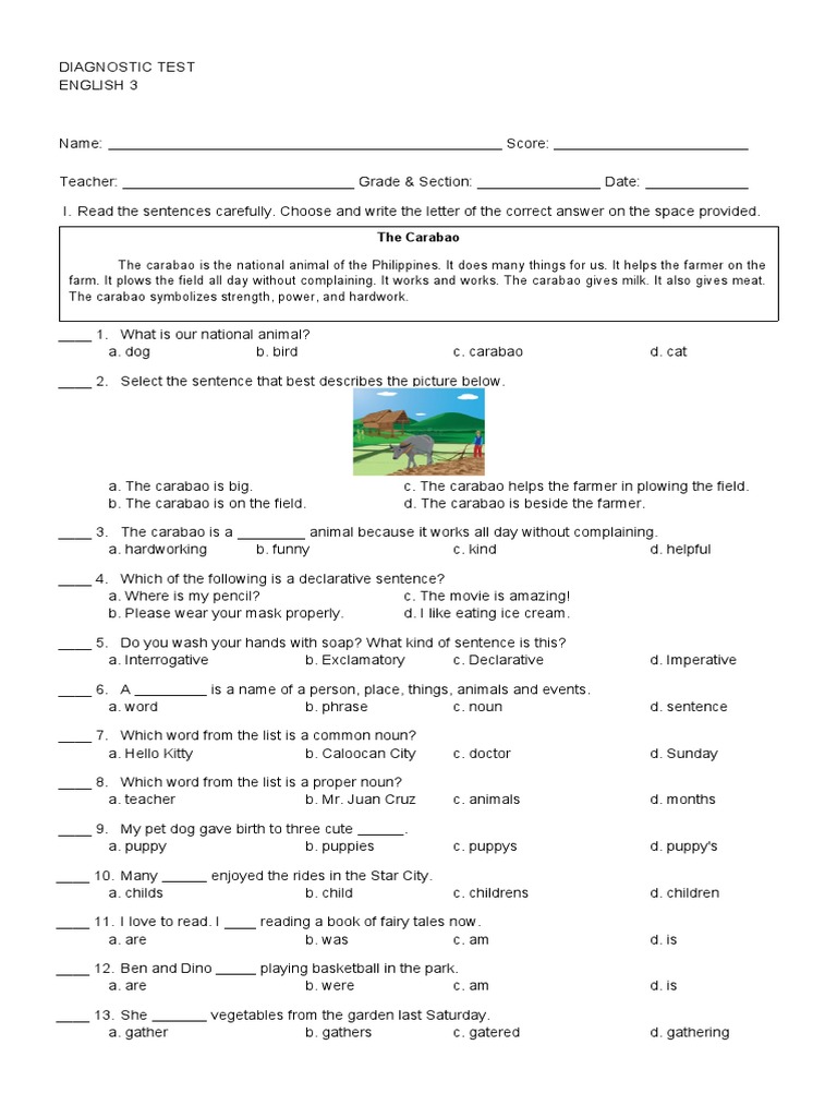Diagnostic Test-English | PDF | Grammar | Syntax