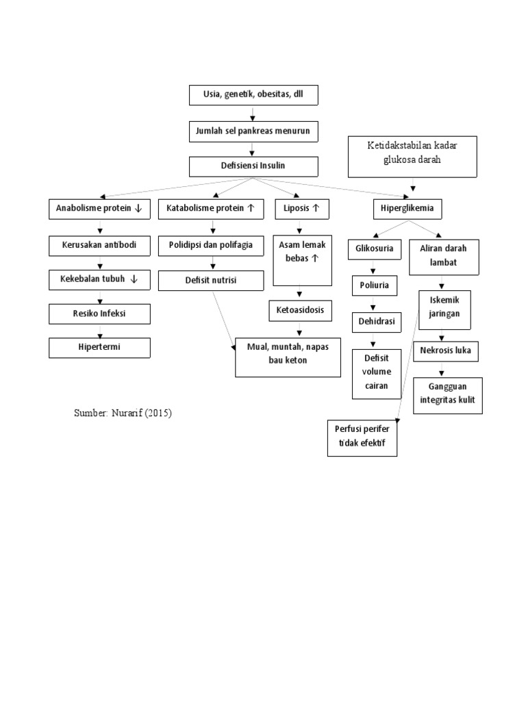 Pathway DM Tipe 2 | PDF