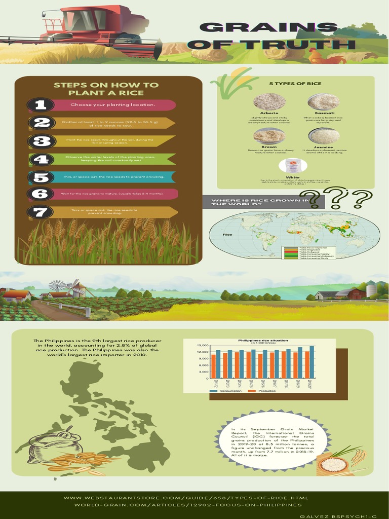 5 Types of Rice: A Guide to Planting Rice and Understanding Popular ...