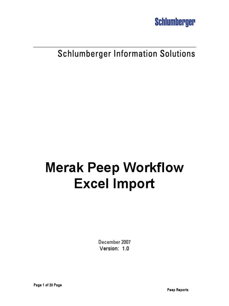Merak Peep Workflow Excel Import: Schlumberger Information Solutions ...