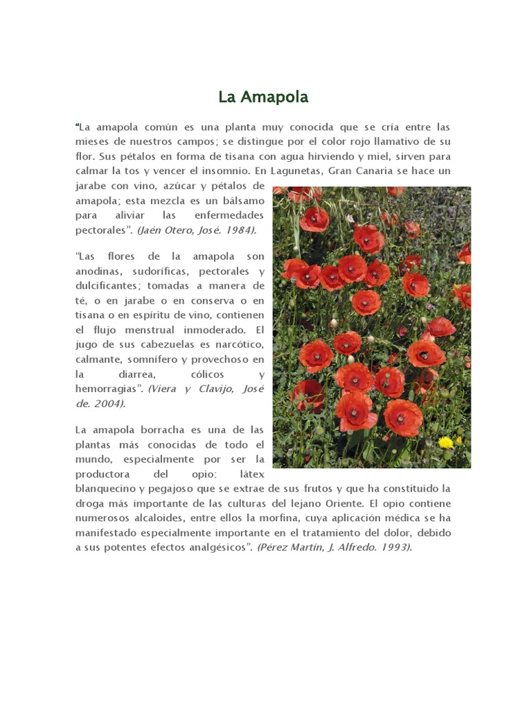 La Amapola | PDF