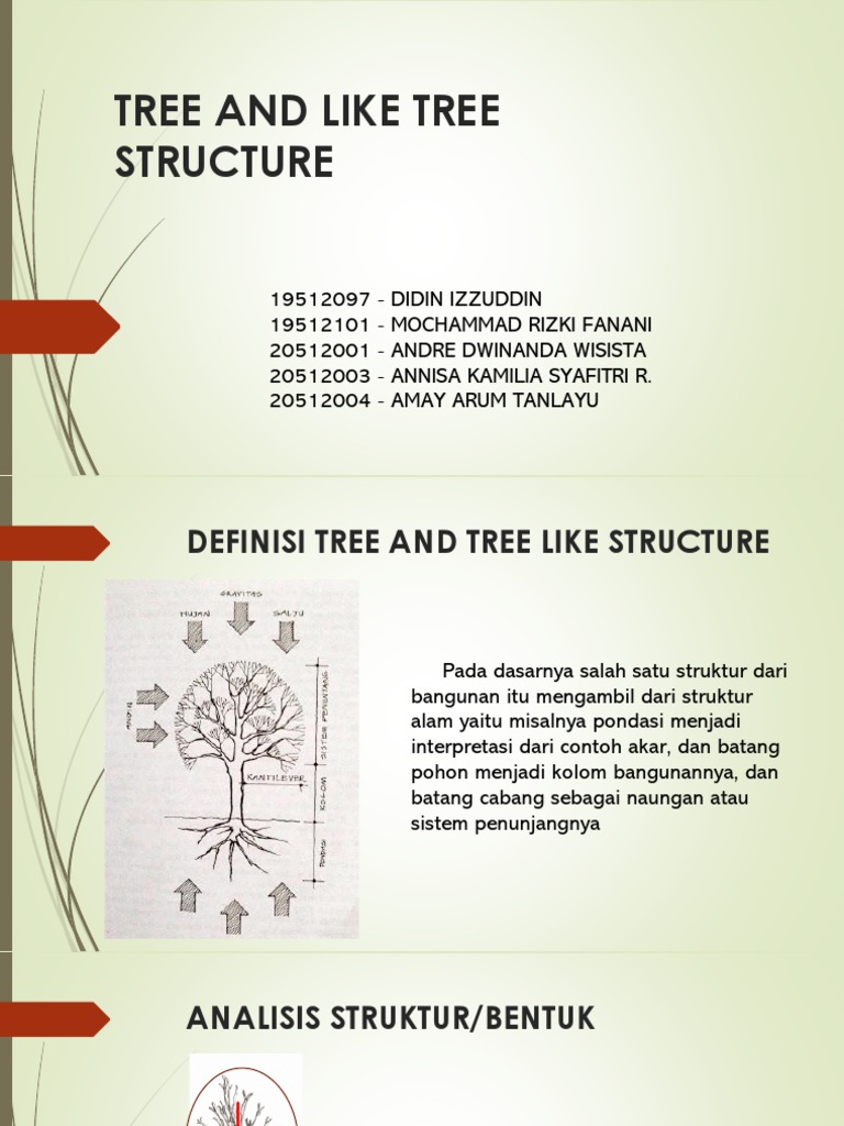 Kelompok 1 - Tree and Like Tree Structure | PDF