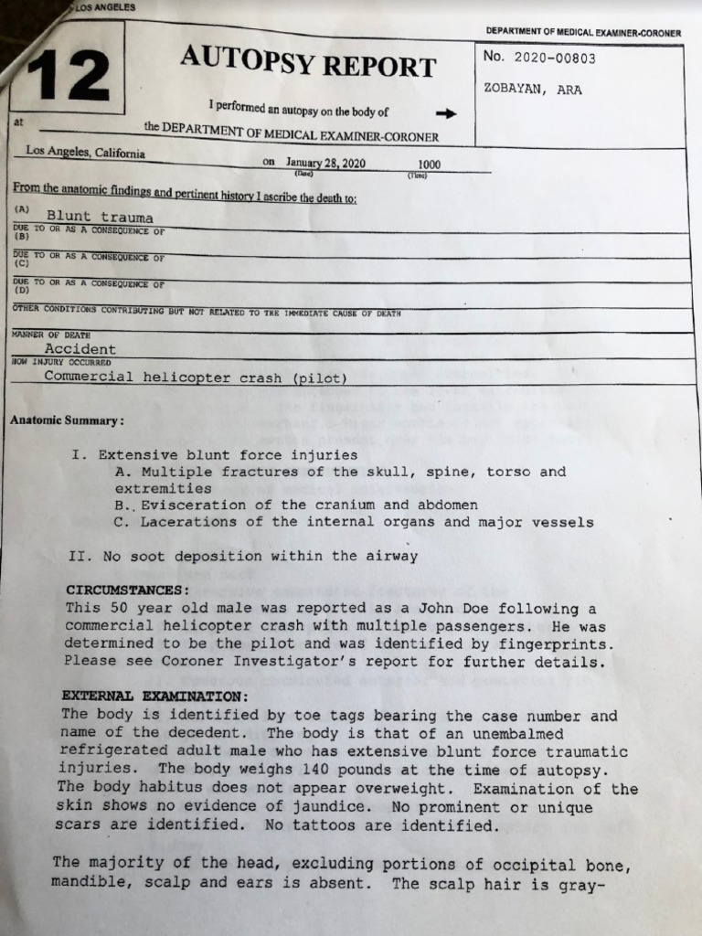 Ara Zobayan Autopsy Report PDF | PDF