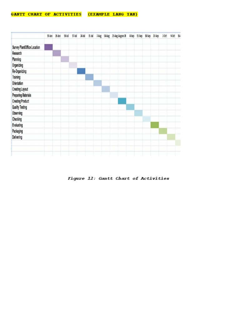 Gantt Chart of Activities