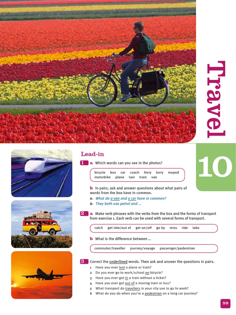 Travel Companions: Challenges & Tips | PDF | Object (Grammar) | Grammar