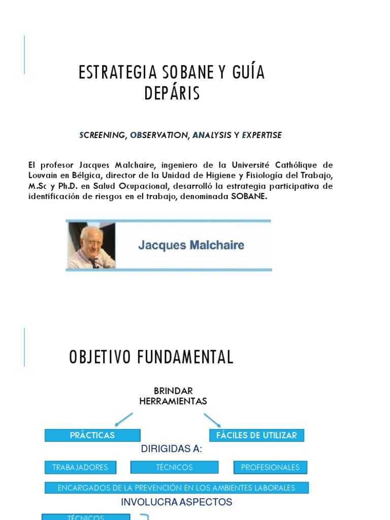 Metodologia Sabone | PDF | Seguridad y salud ocupacional | Bienestar