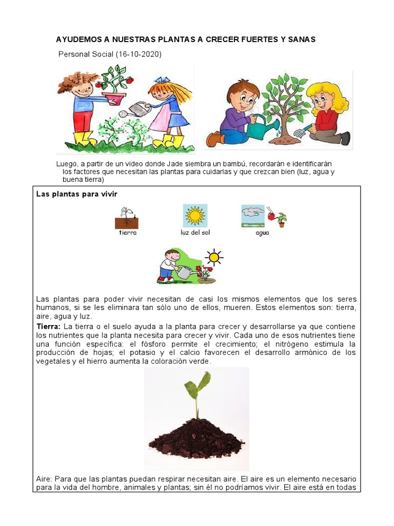 Ayudemos A Nuestras Plantas A Crecer Fuertes y Sanas | PDF | Plantas ...
