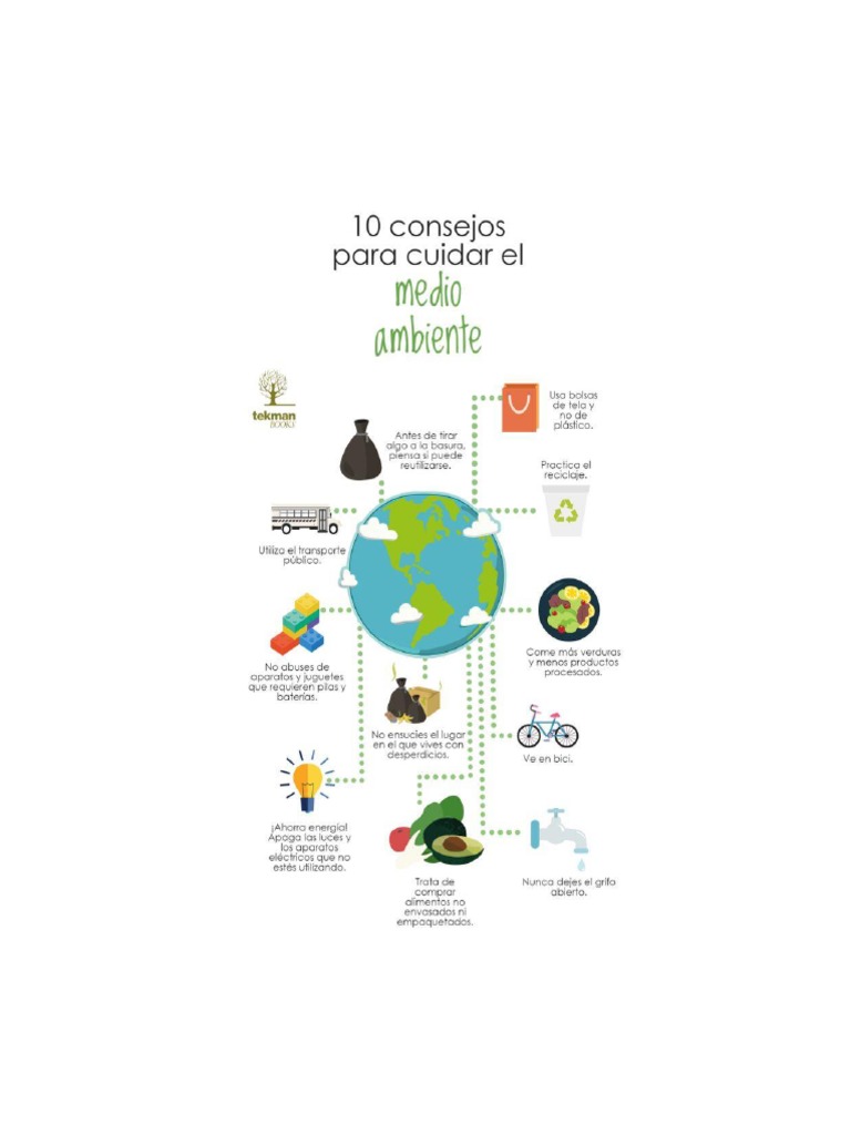 Infografia Medio Ambiente Informatica | PDF