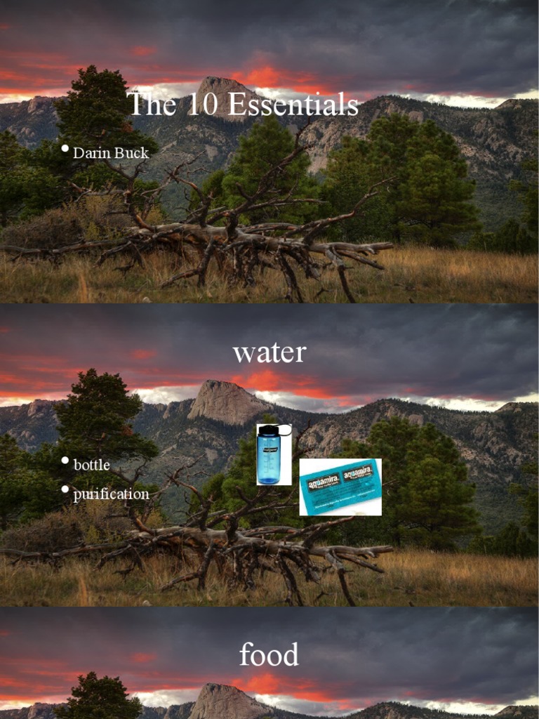 The 10 Essentials | PDF