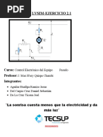 Manual para Acceder A La Plataforma LVSIM-EMS | PDF