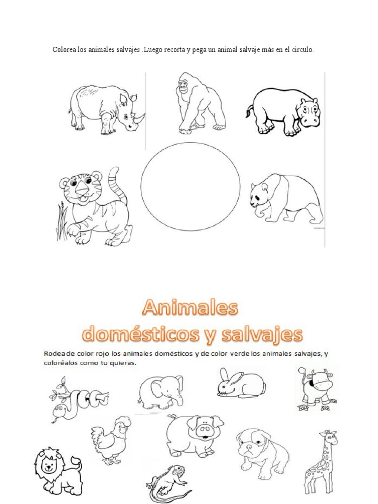 Colorea Los Animales Salvajes | PDF