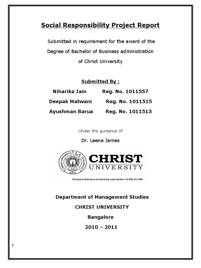 Social Responsibility Project Report | PDF | Corporate Social ...