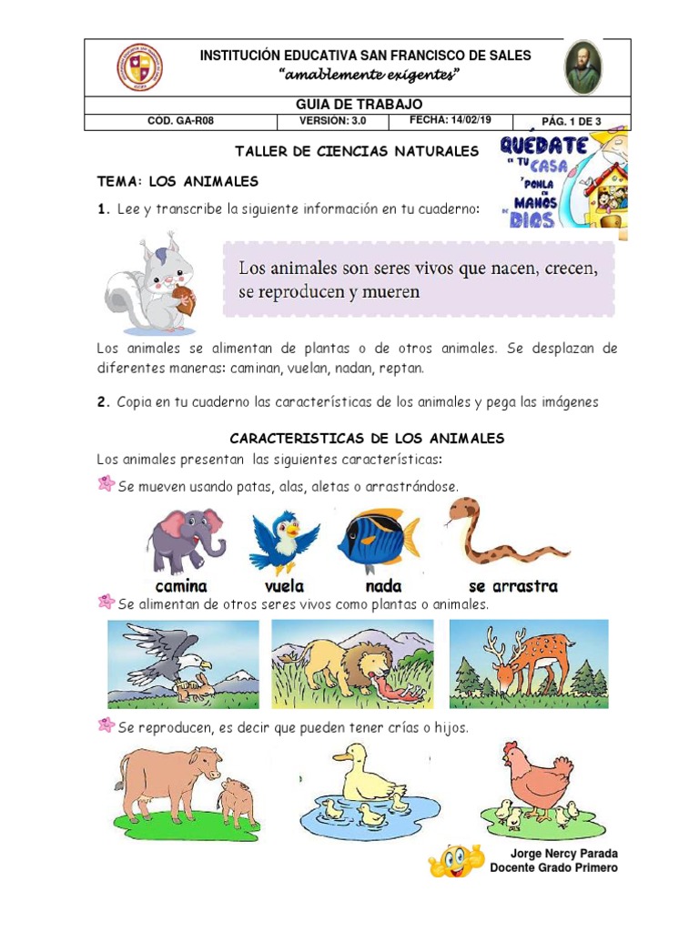 Taller de Ciencias Naturales: Animales | PDF