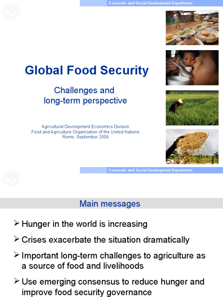 Global Food Security: Challenges and Long-Term Perspective | PDF | Food ...