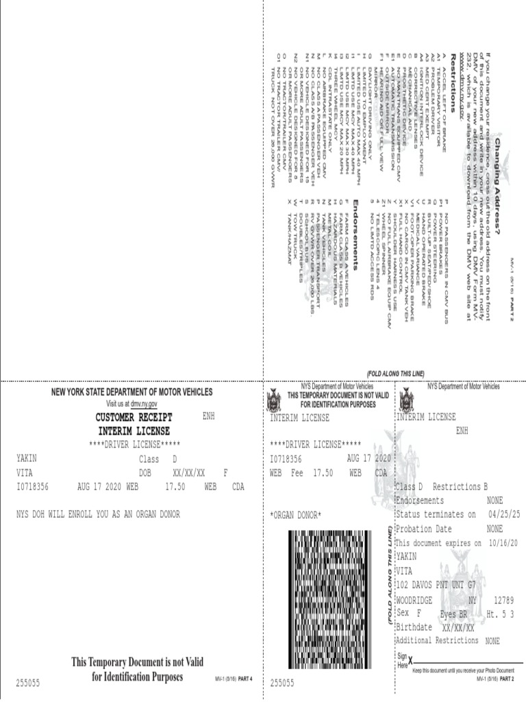 New York Temporary Driver's License Guide | PDF | Vehicles | Land Vehicles