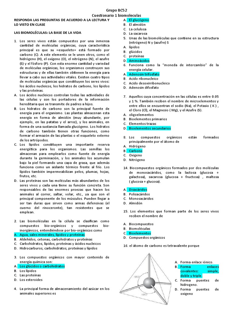 Examen Hugo Viadas BC52 | PDF | Biomoléculas | Carbohidratos