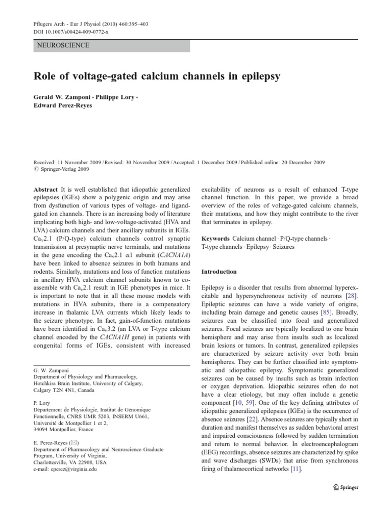 Role of Voltage-Gated Calcium Channels in Epilepsy: Neuroscience | PDF ...