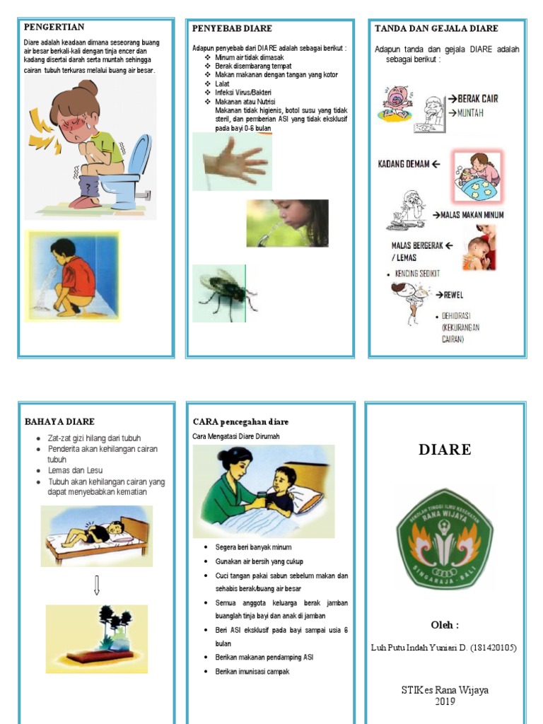 Leaflet DIARE | PDF