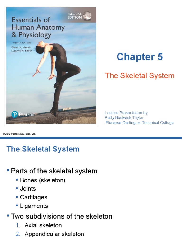 The Skeletal System: Lecture Presentation by Patty Bostwick-Taylor Florence-Darlington Technical ...