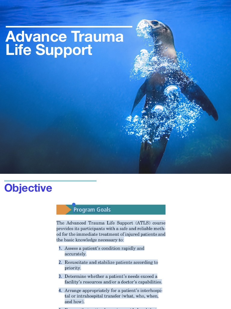 Guide Book | PDF