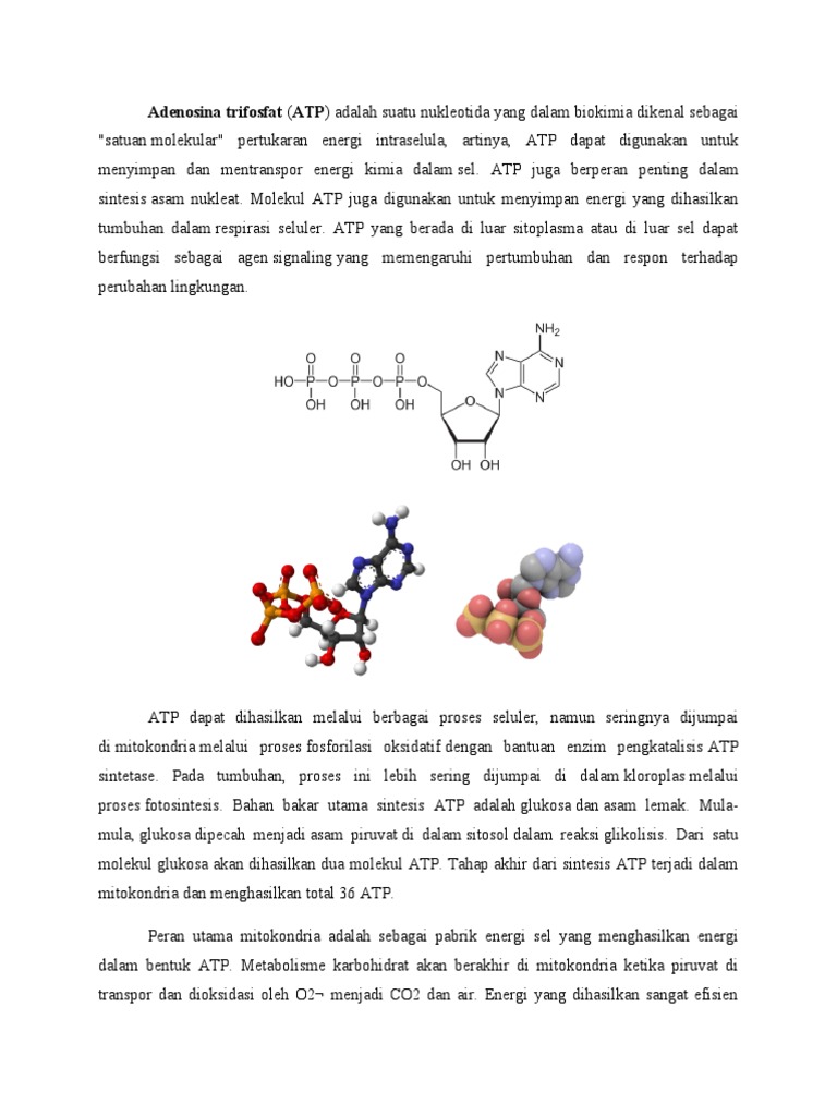 Biokimia Sintesis Atp | PDF