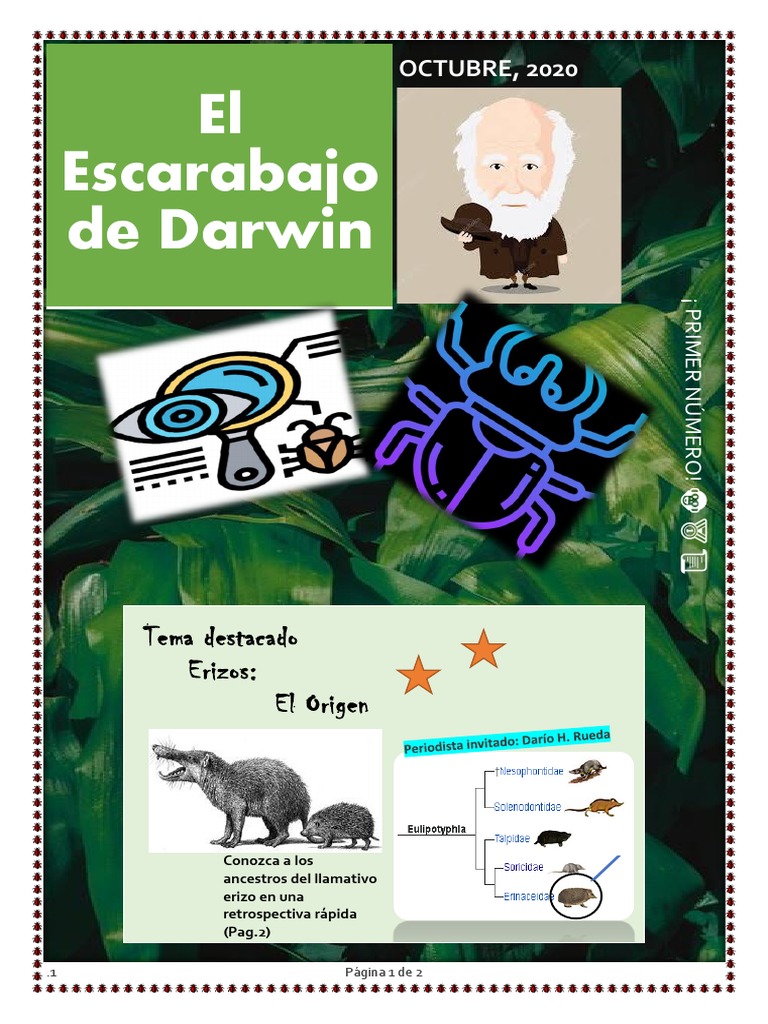 Origen de los Erizos: Fósiles y Ancestros | PDF | Organismos | Naturaleza