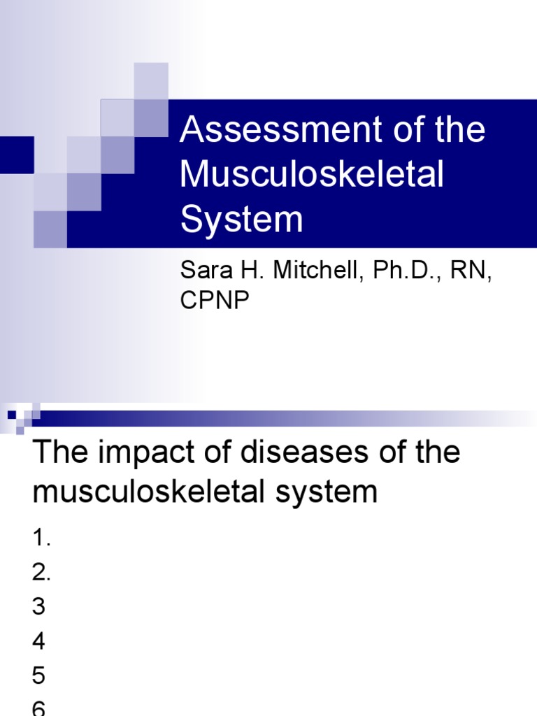 NUR 602 Musculoskeletal System Student Handout | PDF | Anatomical Terms ...