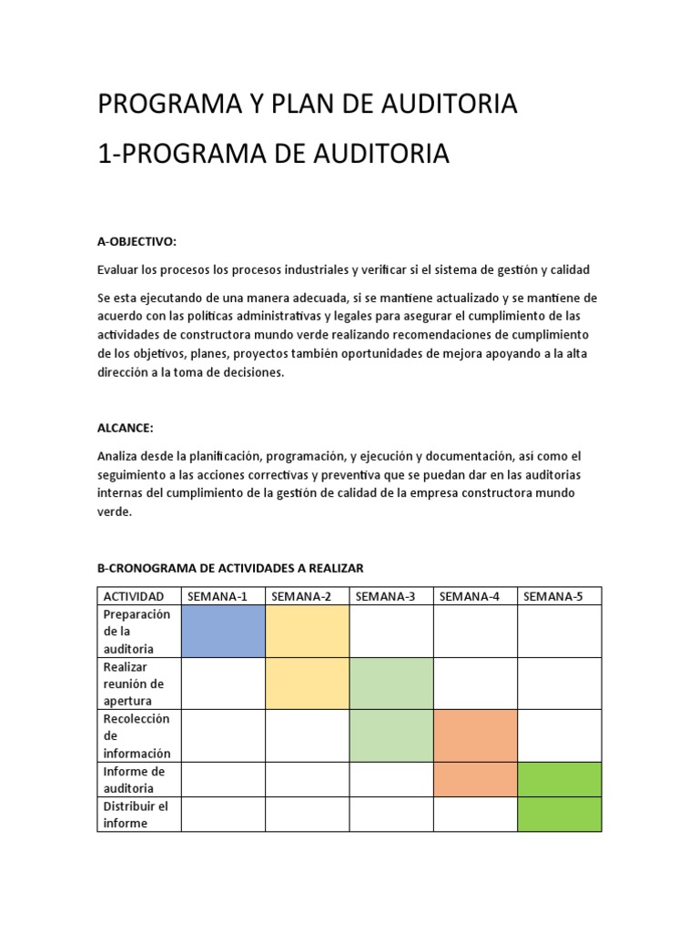 PROGRAMA Y PLAN DE AUDITORIA Realizado | PDF | Auditoría | Sistema de manejo de calidad