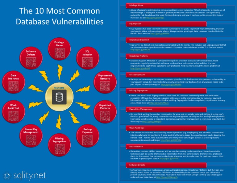 The 10 Most Common Database Vulnerabilities | PDF | Encryption | Vulnerability (Computing)