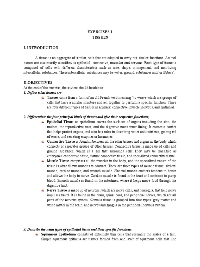 Exercises 1 Tissues: 1. Define What Tissues Are | PDF | Epithelium ...