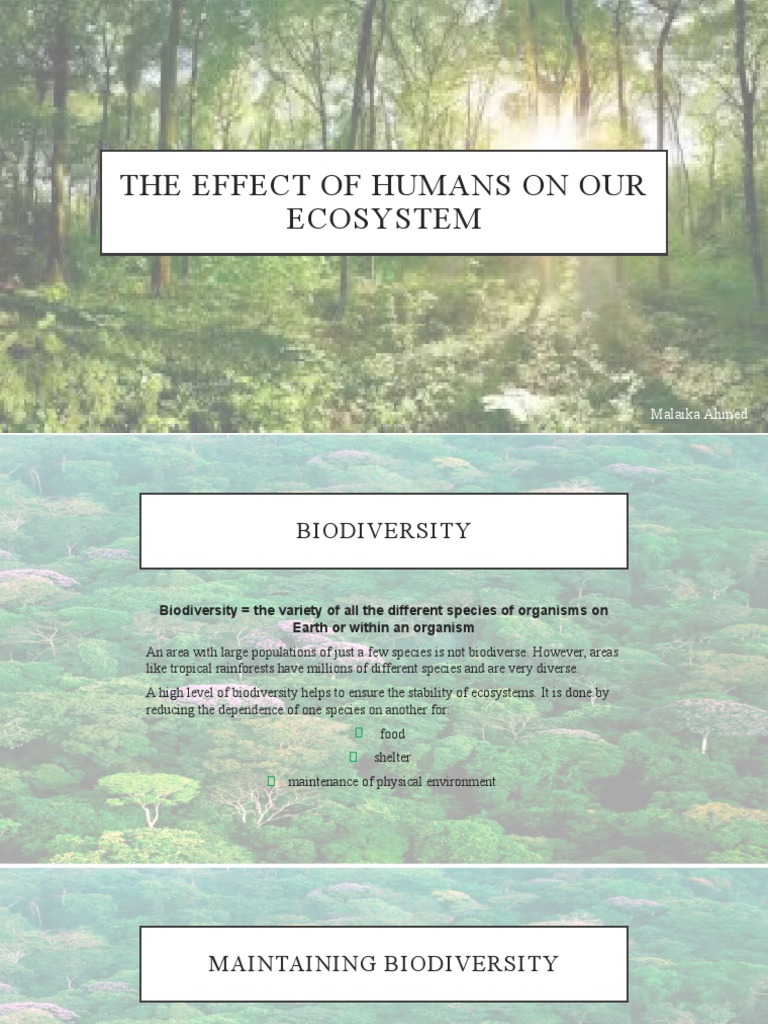 The Effect of Humans On Our Ecosystem: Malaika Ahmed | PDF | Peat ...