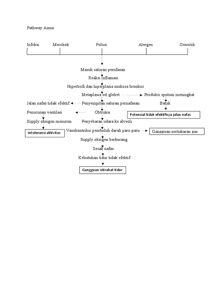 Pathway Asma TATAN | PDF