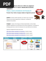 Fonema L y LL | PDF | Vocal | Fonología