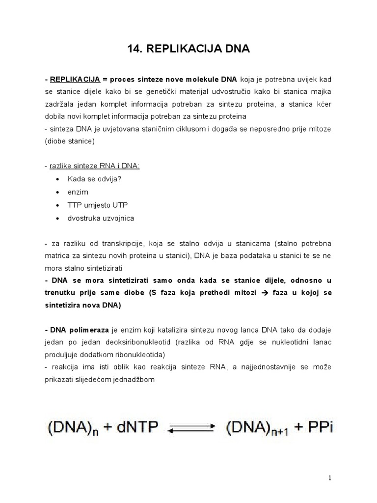 Replikacija DNA | PDF