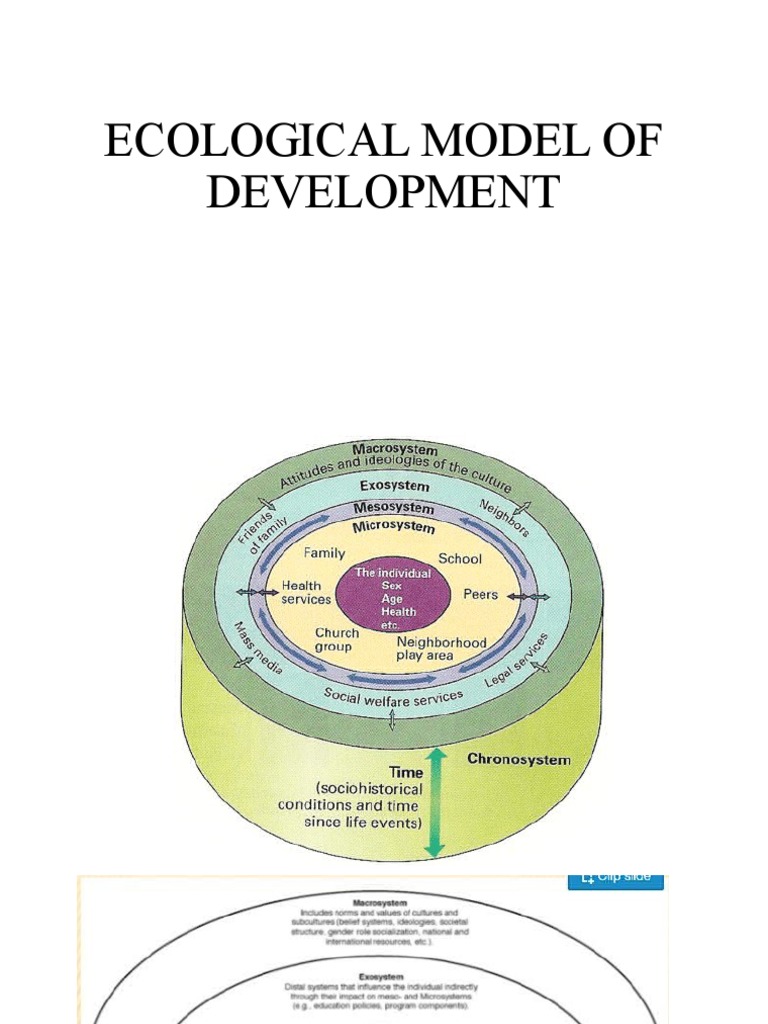 Bronfenbrenner Model | PDF