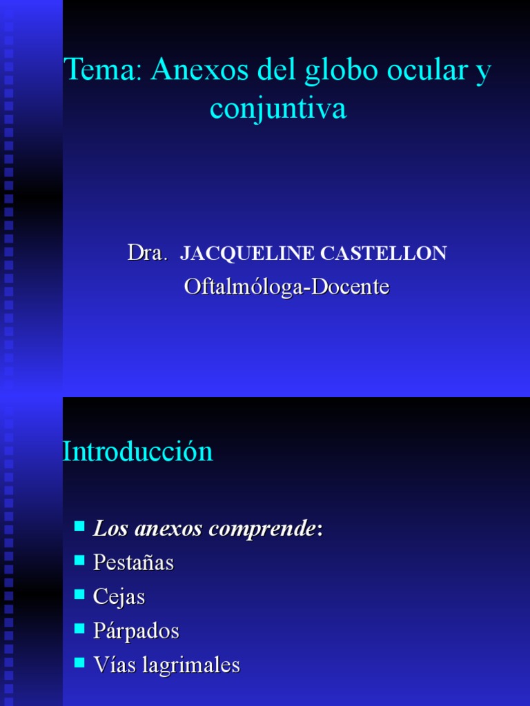 02 Anexos Del Globo Ocular y Conjuntiva | PDF | Ojo | Inflamación